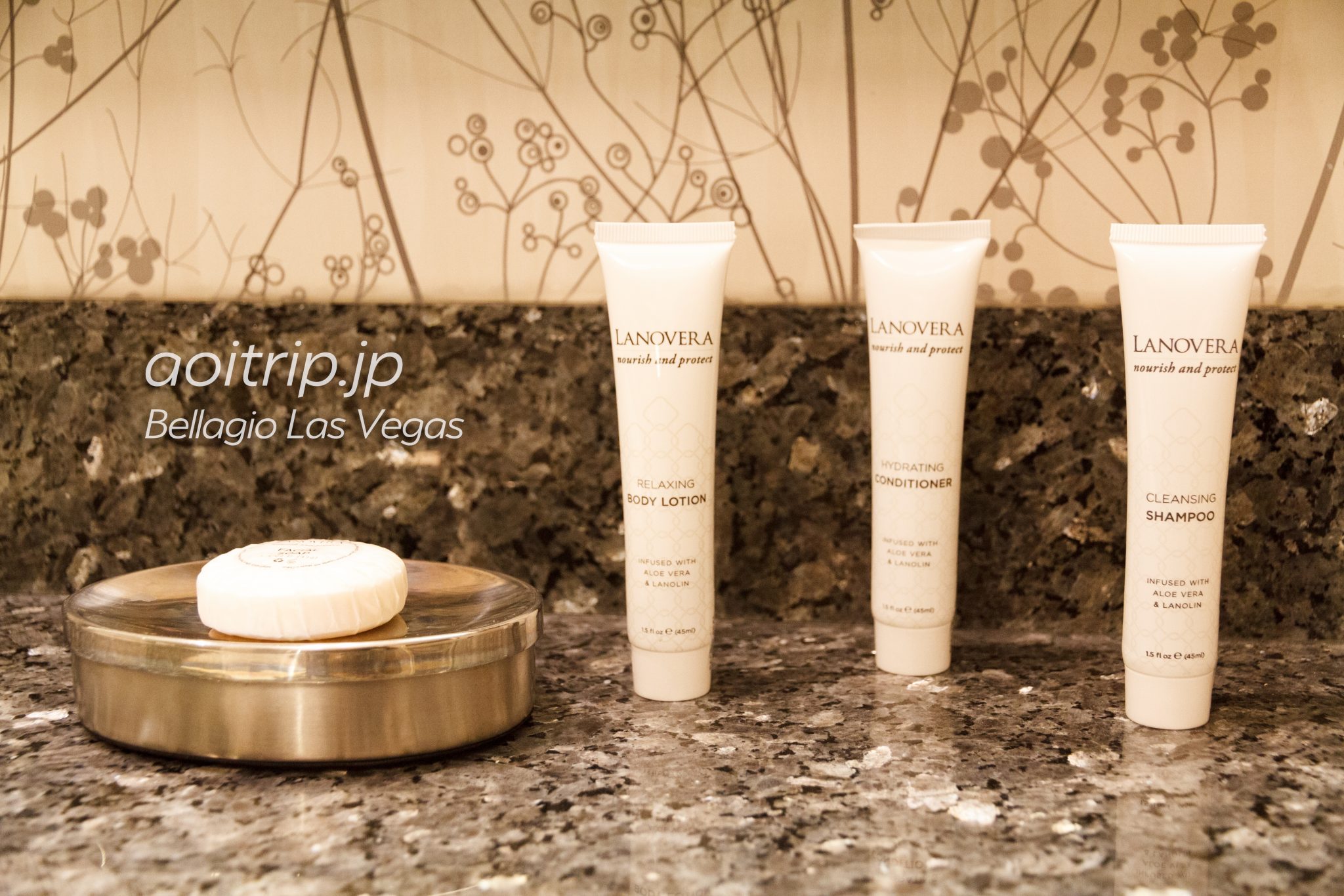 ベラッジオ ホテル宿泊記（ラスベガス）｜Bellagio Las Vegas | あおいとりっぷ